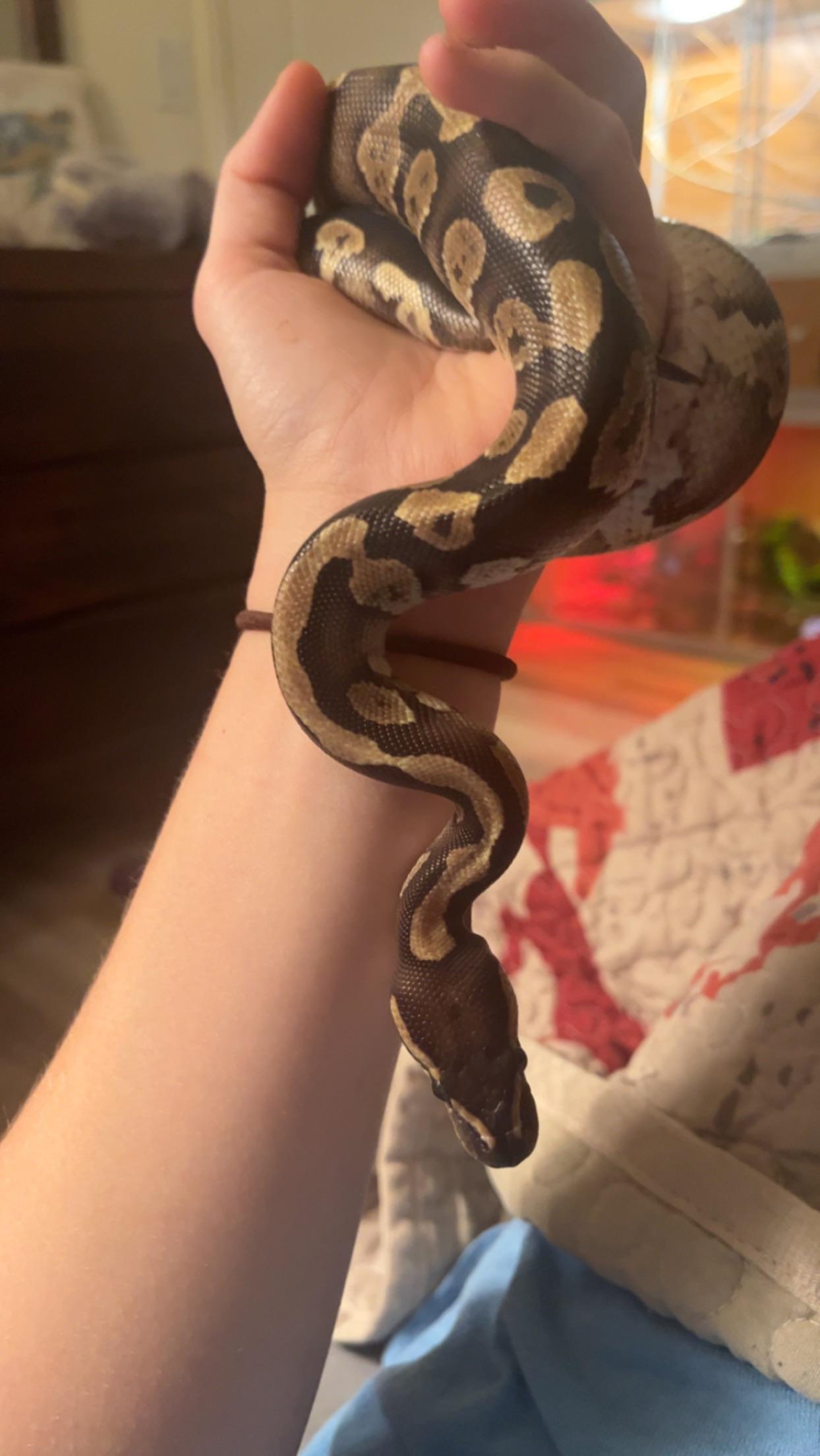 Blood in poop | Scrolller