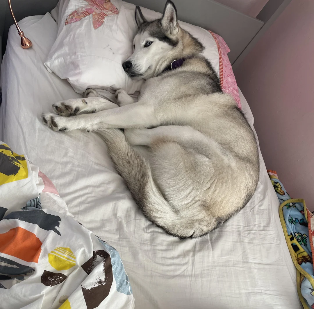 Keeping the bed warm | Scrolller