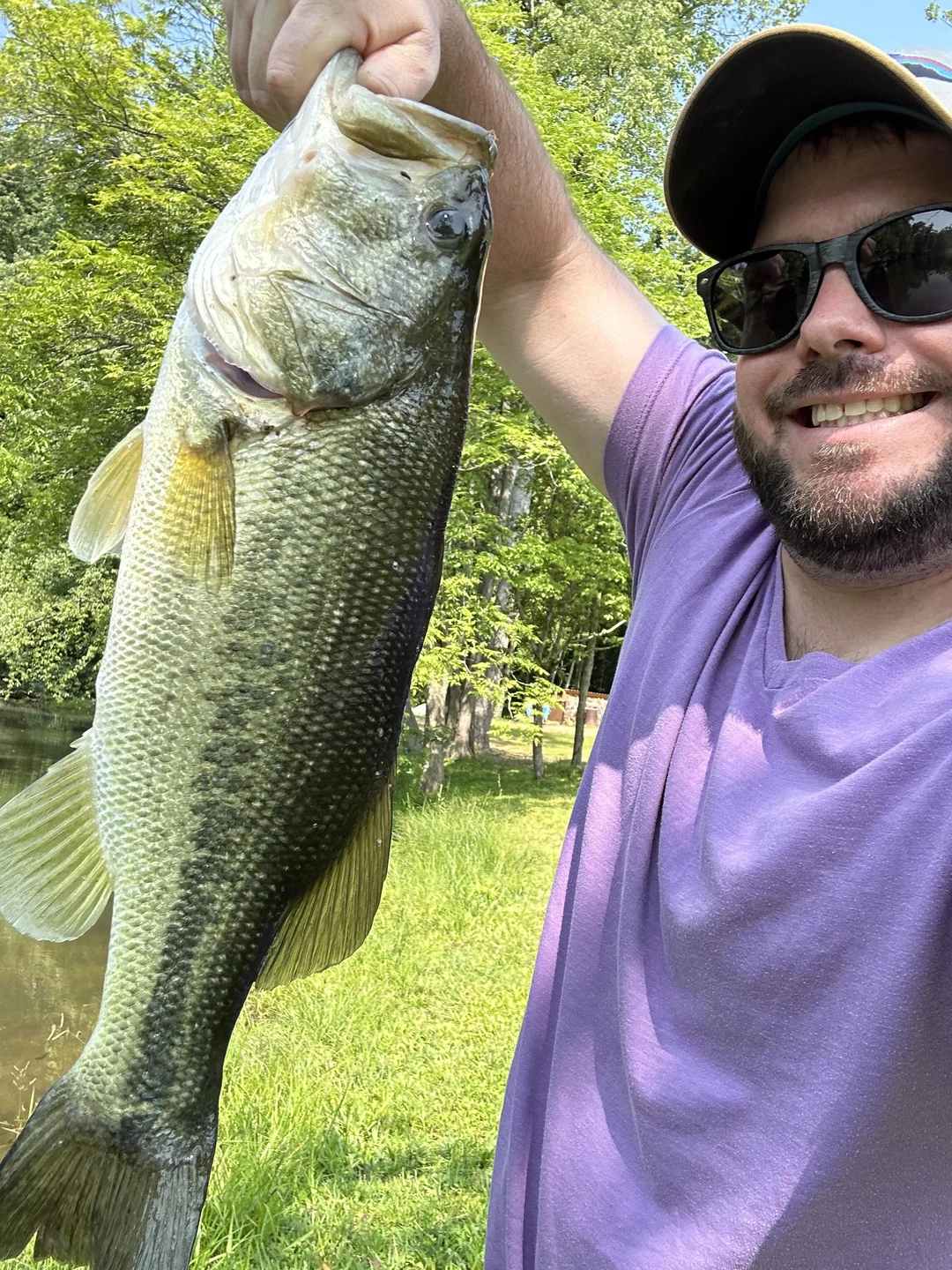 Big fish energy | Scrolller