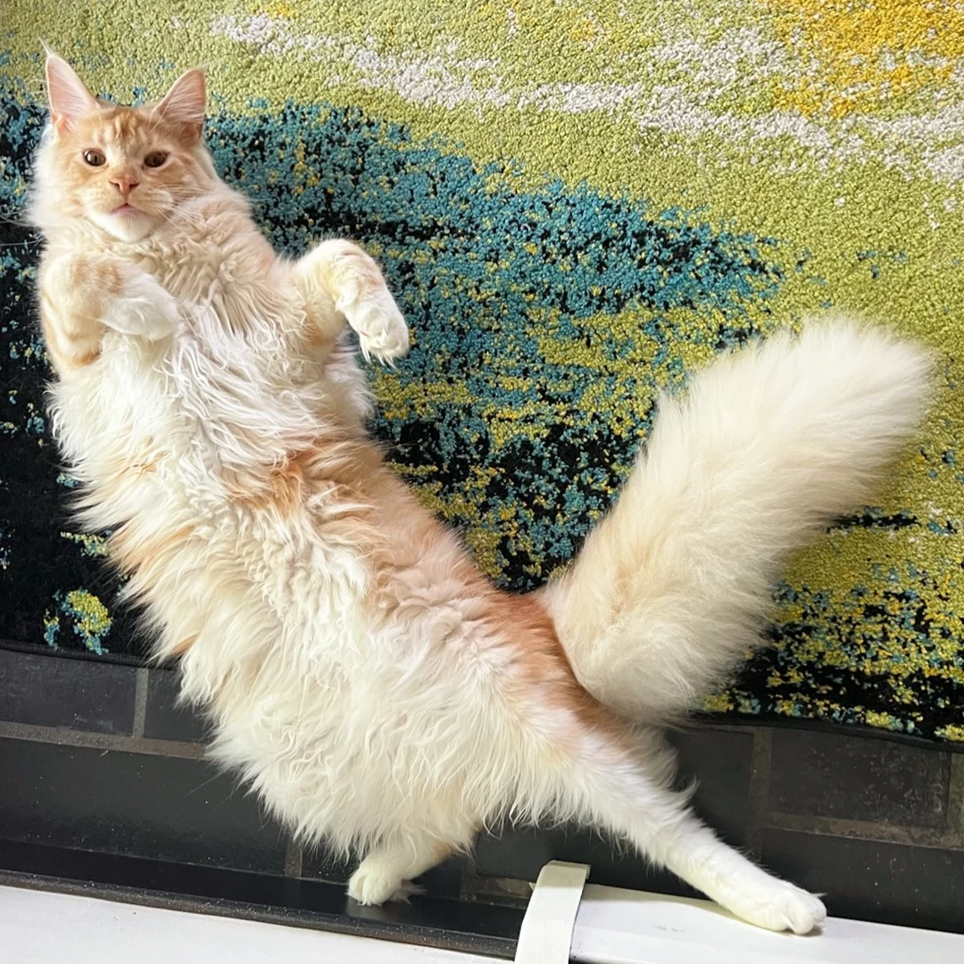 Sassy pose. | Scrolller