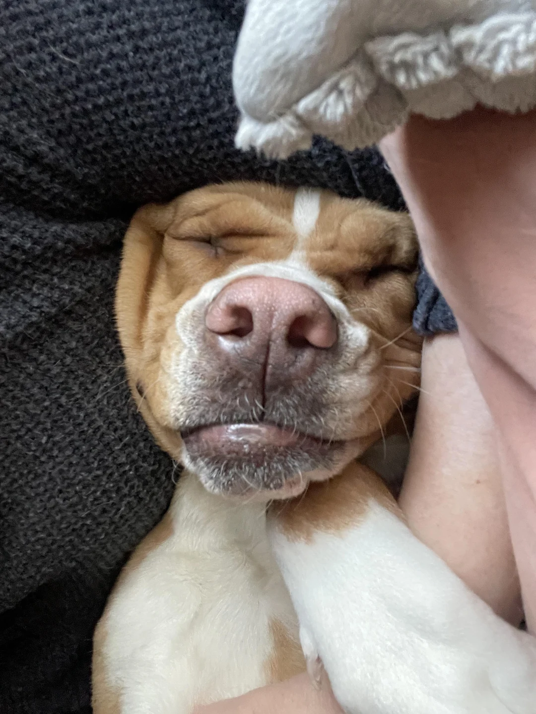 So squish. | Scrolller