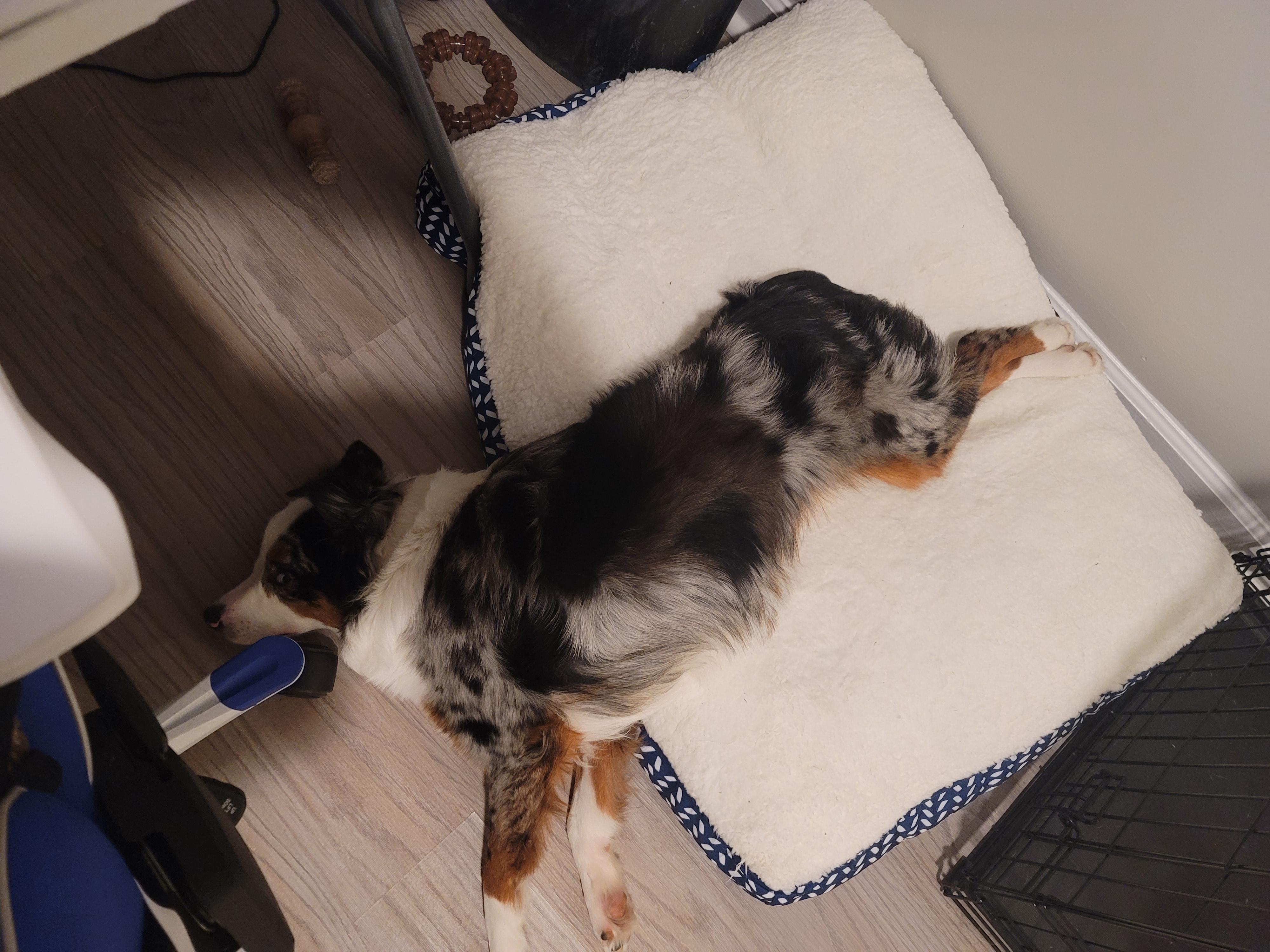 (OC) Don't know how she finds this position to be so comfortable? | Scrolller