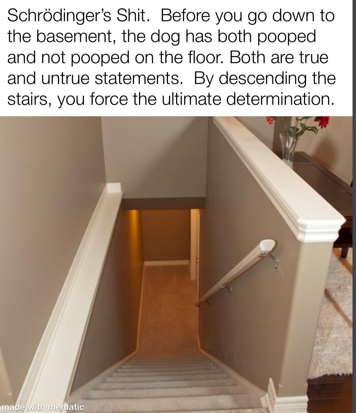 Thought Experiment | Scrolller