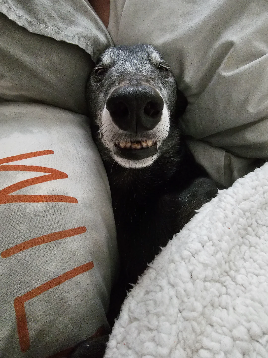 Ultimate cosy | Scrolller