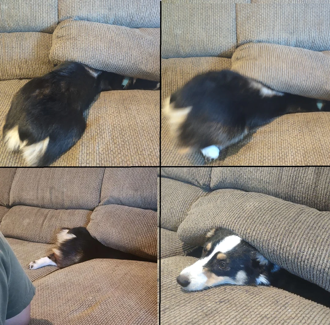 "Crumbs in the Couch" - A 4 part epic of intrigue, adventure, and surprise! | Scrolller