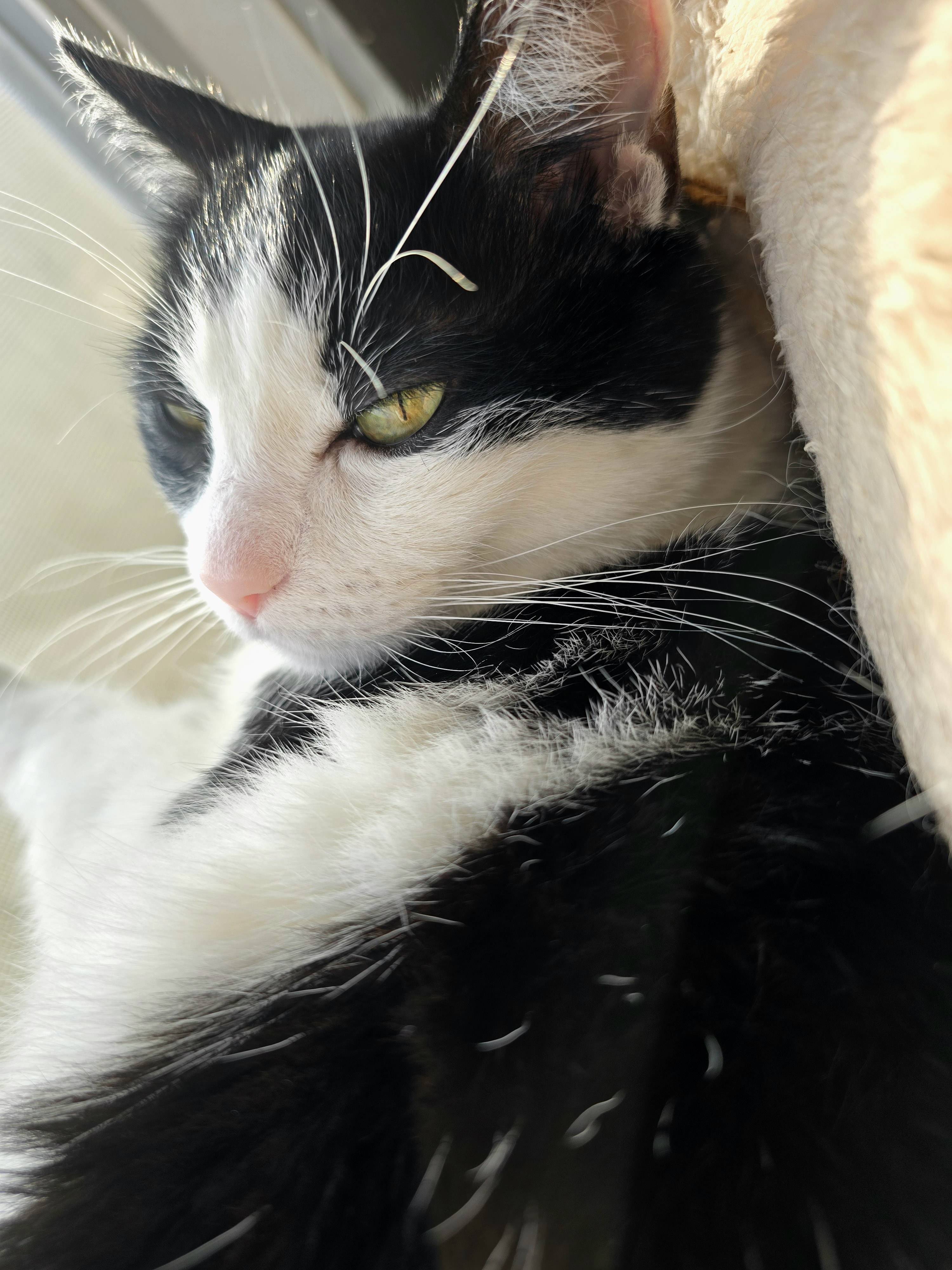 Bombastic side eye | Scrolller