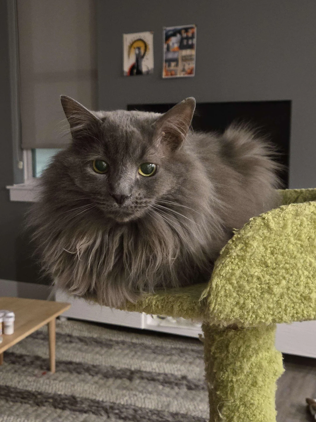 Idk why my loaf is so fluffy, is the fluff mold or something? | Scrolller