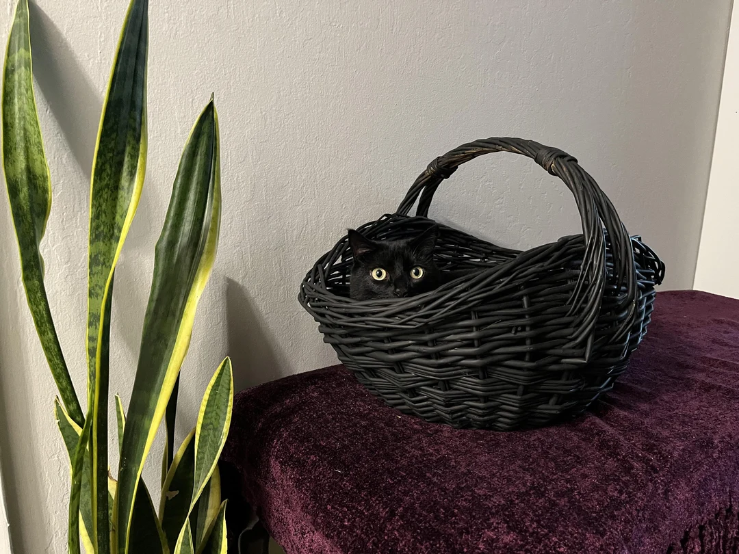 Wedding gift basket repurposed | Scrolller