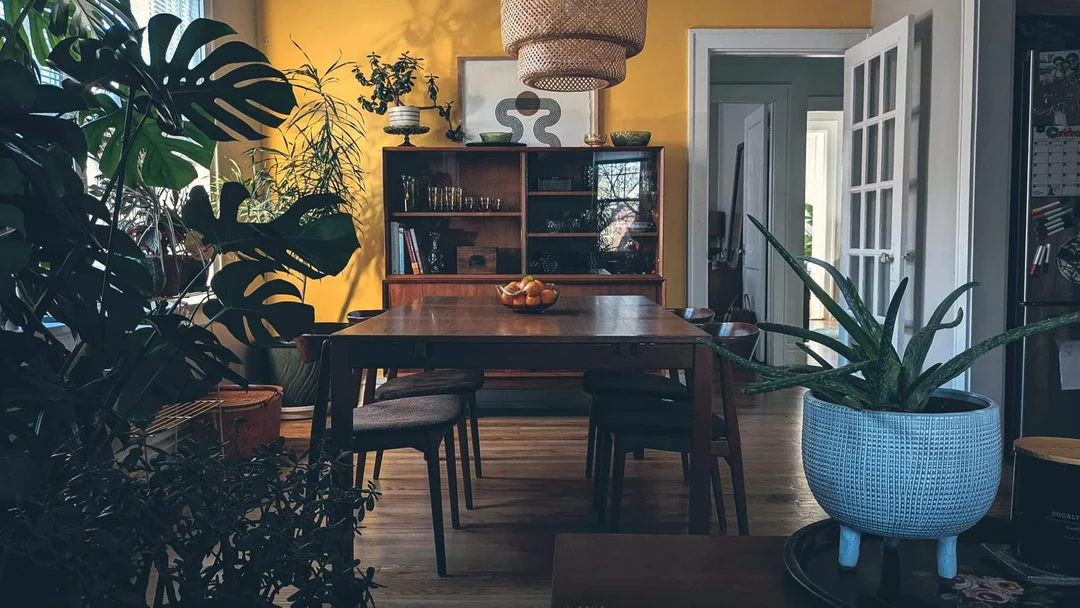 Our cozy jungle dining room.. | Scrolller