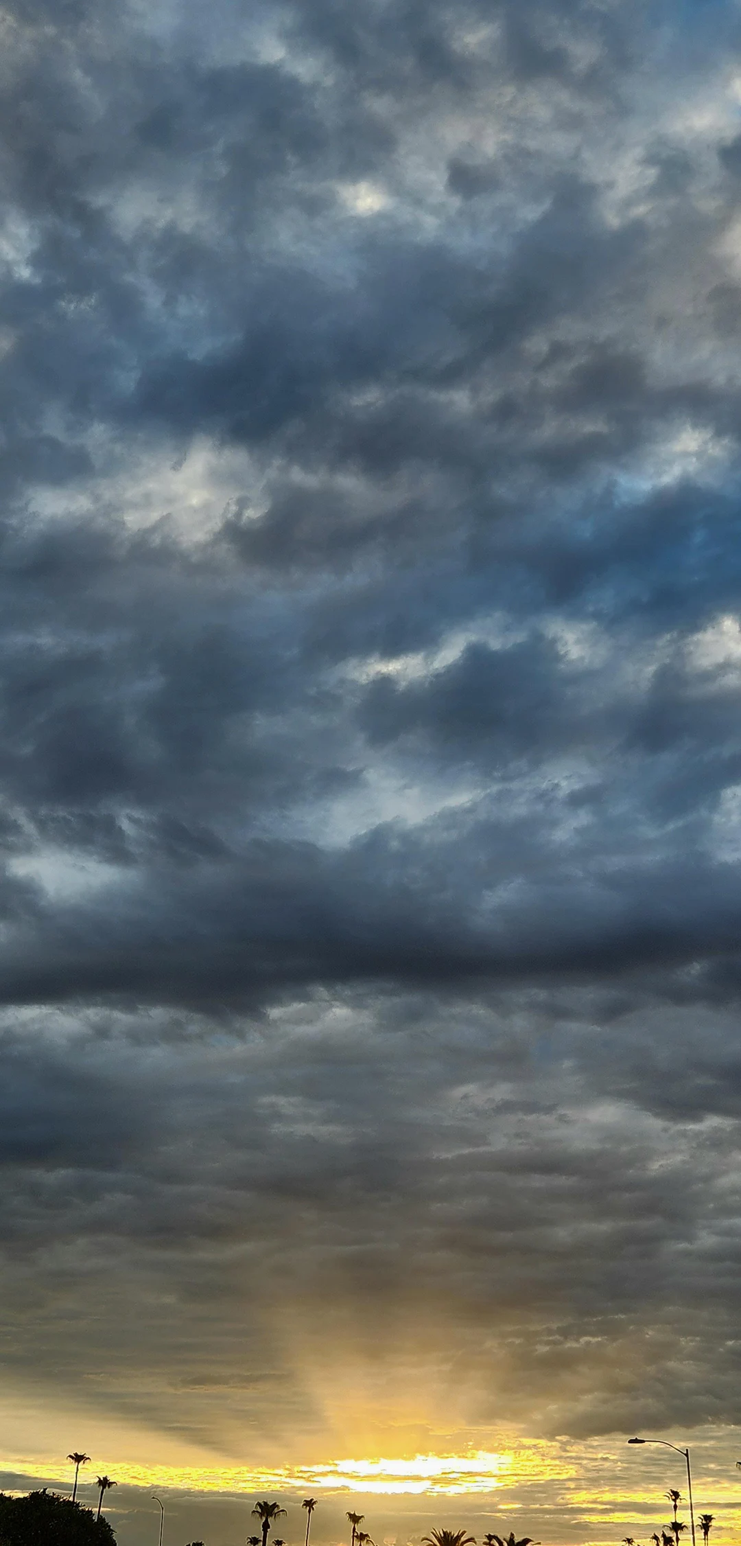 Looking up to the clouds | Scrolller