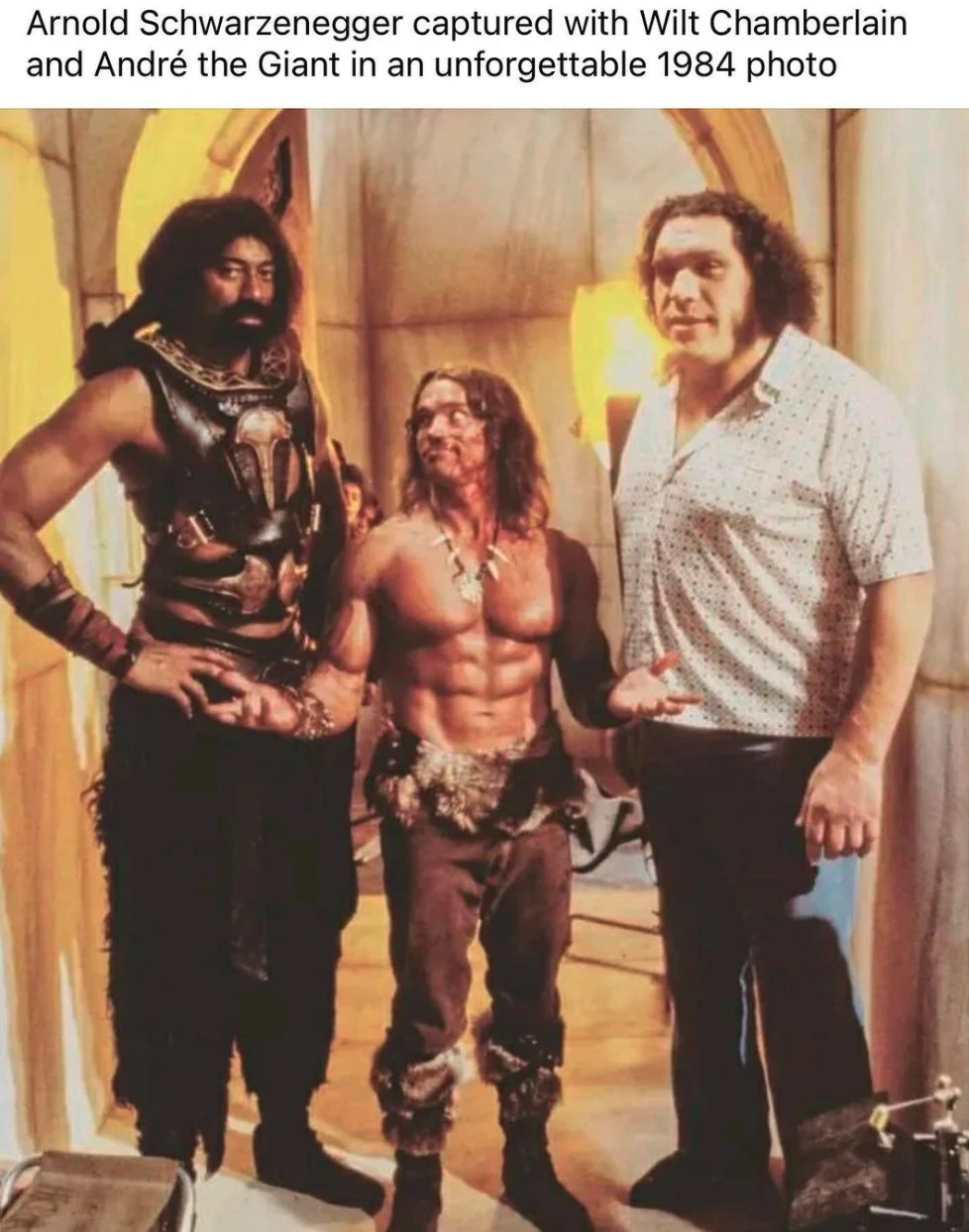 Arnold Schwarzenegger (6'2 - 260 pounds) Among Giants | Scrolller