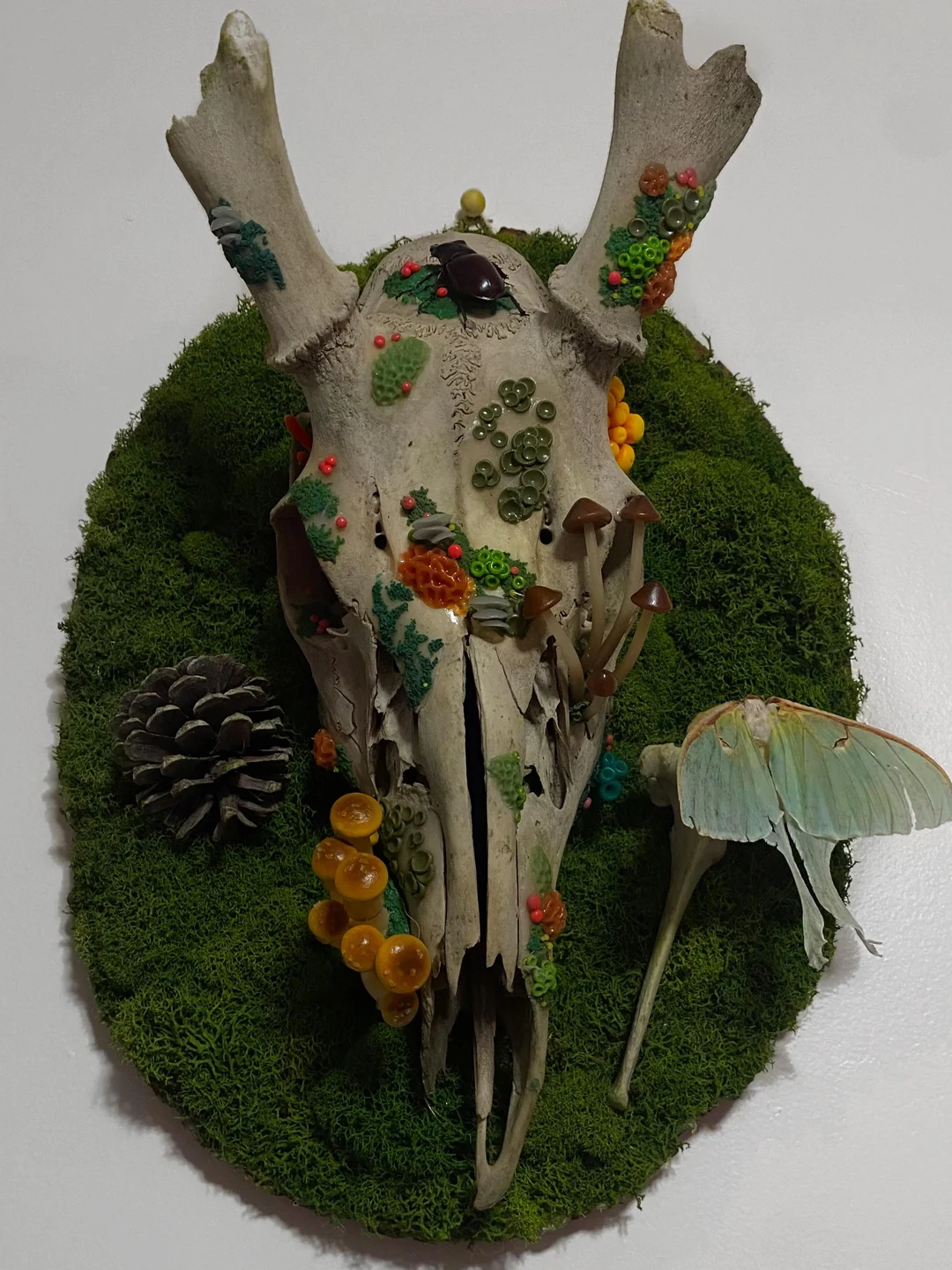 Mushrooms on a deer skull, polymer clay, made by Emily McBride (myself), 2024 | Scrolller