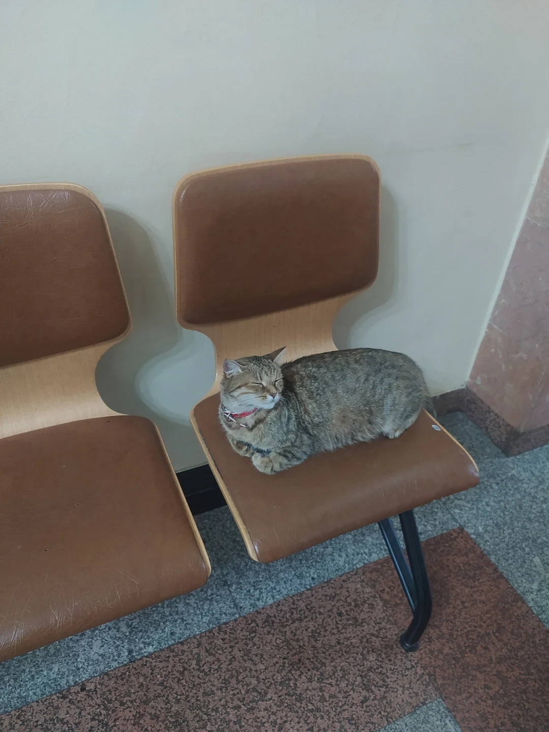 Asya is loafing in the hallway | Scrolller