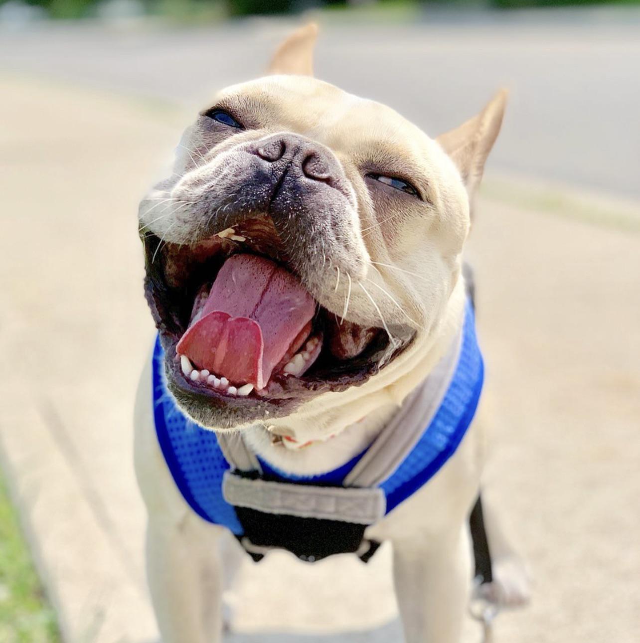 Big yawn!! 🥱 | Scrolller