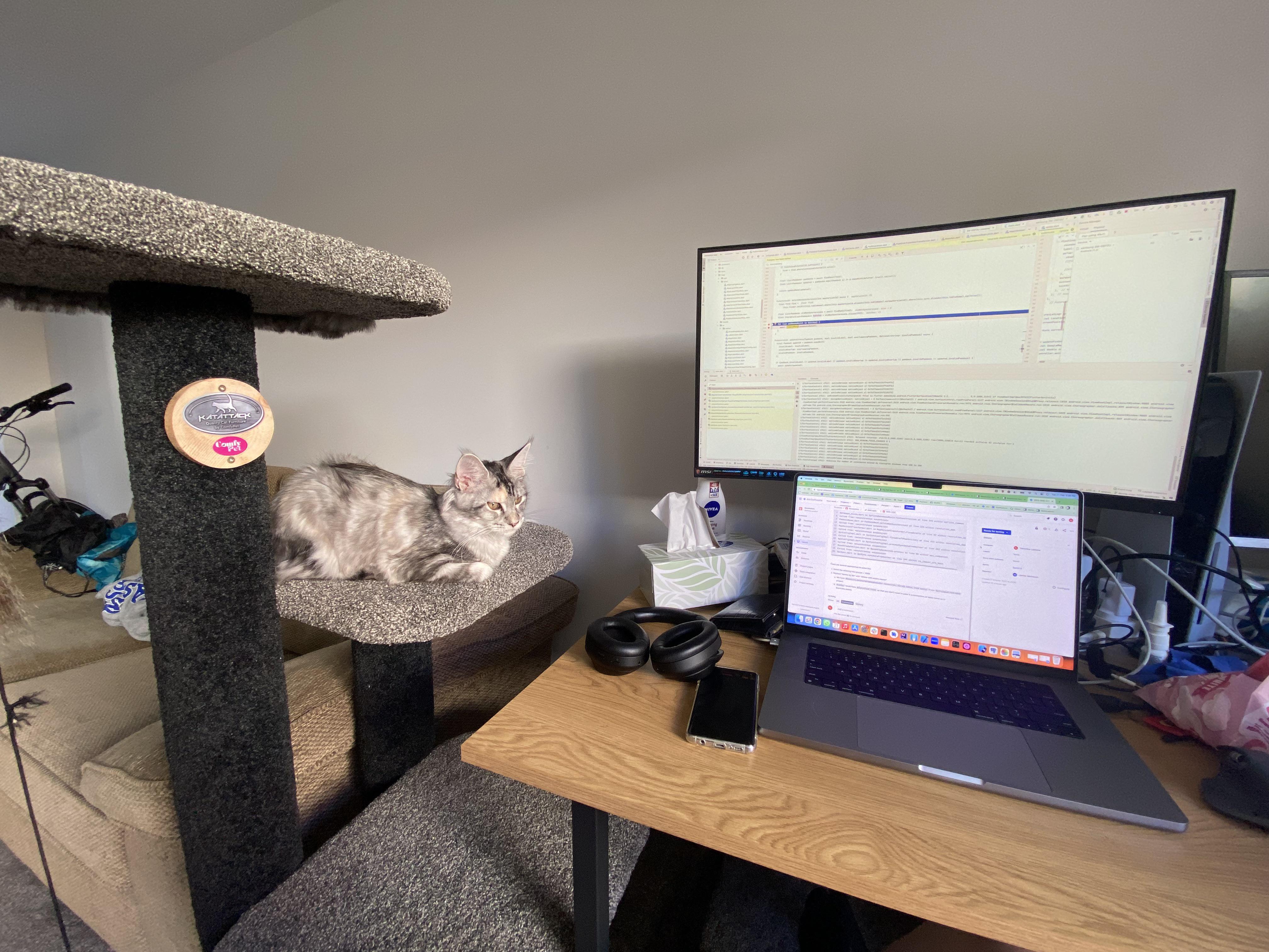 Got a new intern. Just sits there and looks pretty. Guess that’s what I pay her for. | Scrolller