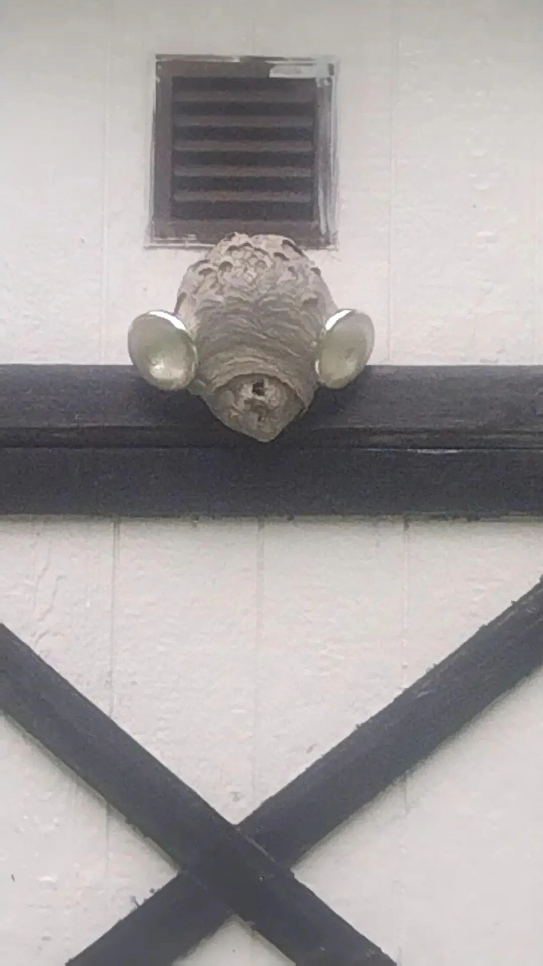 tw0 high beams and a deadly h0le | Scrolller