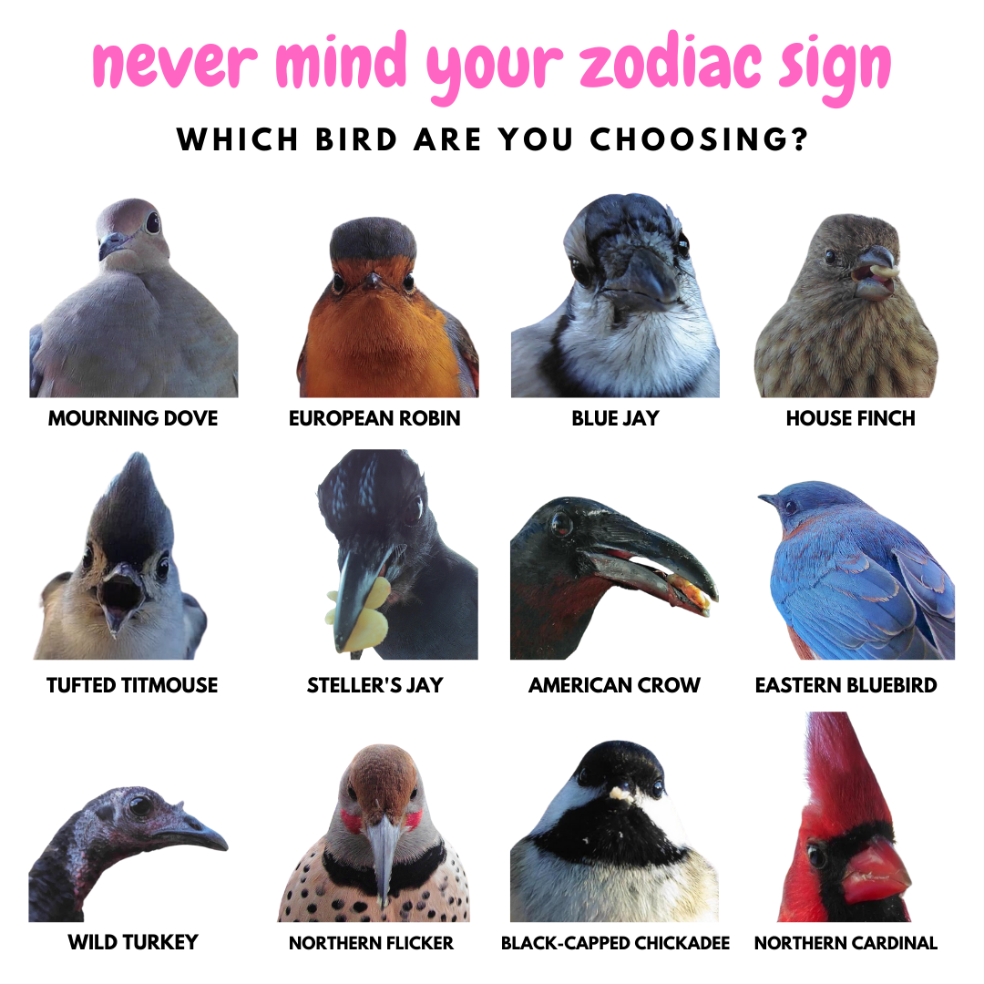 Collect them all | Scrolller