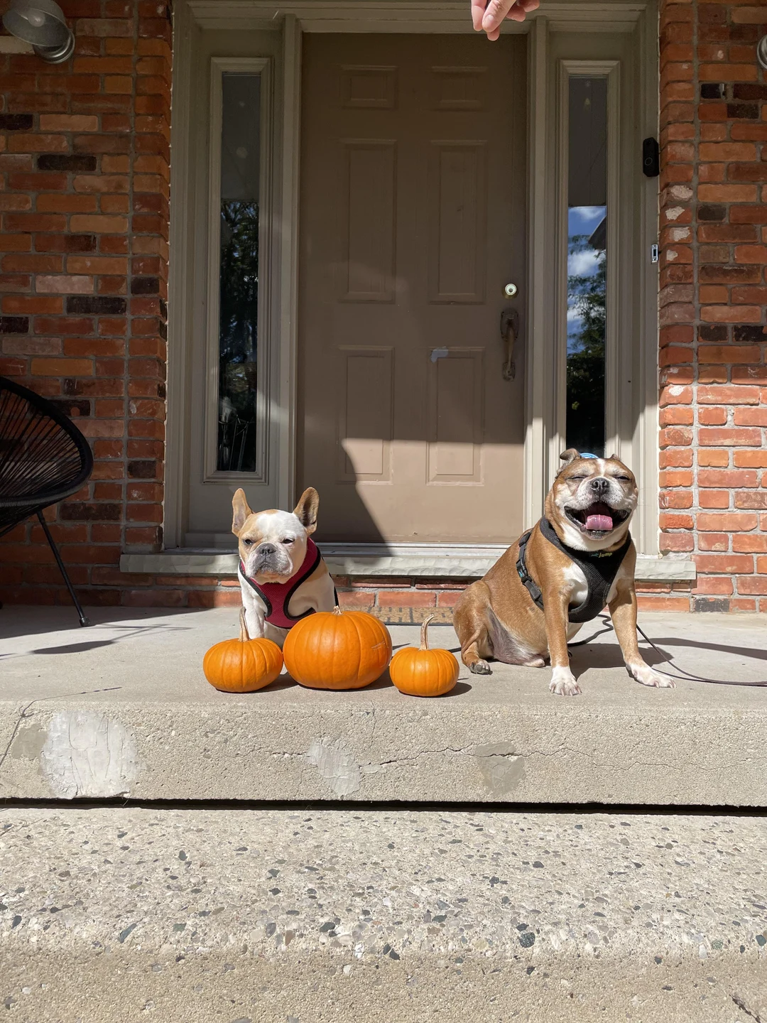 Spooky season! | Scrolller