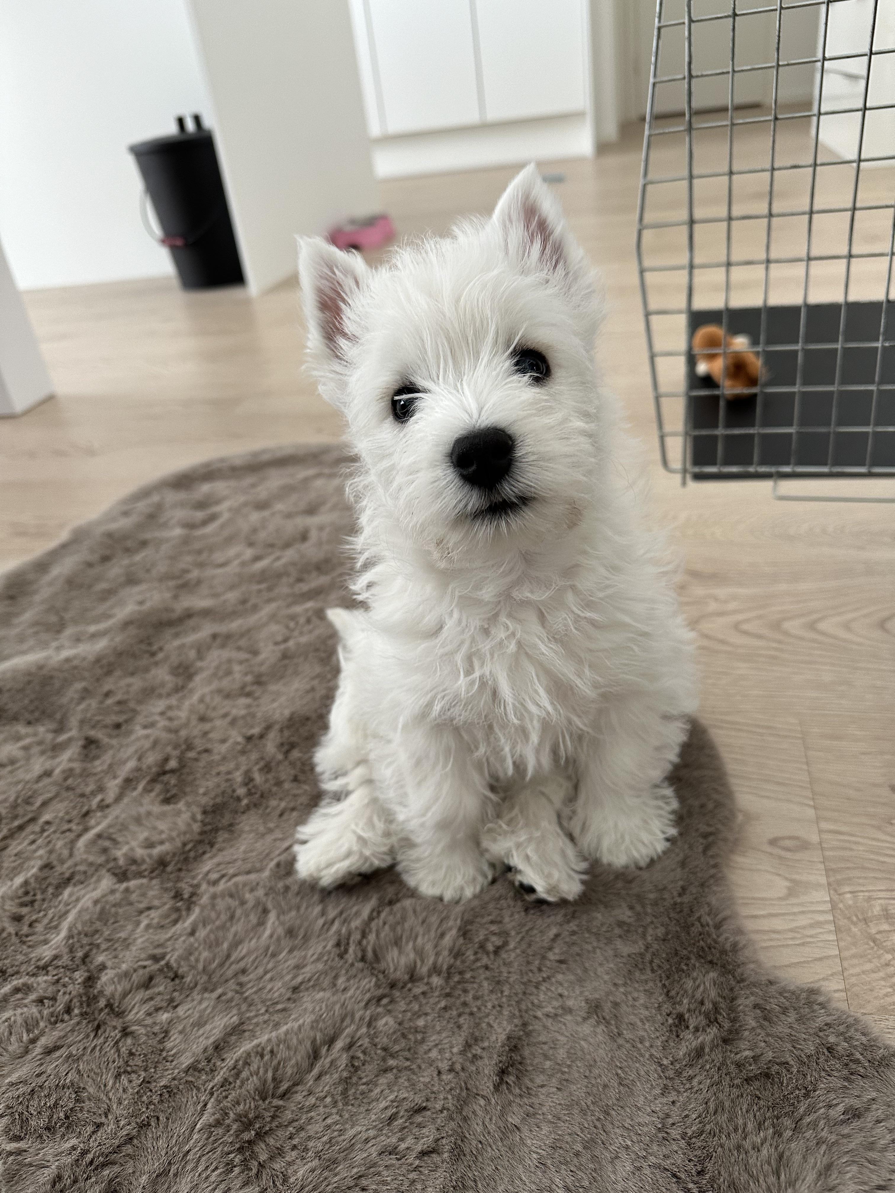 She posing | Scrolller