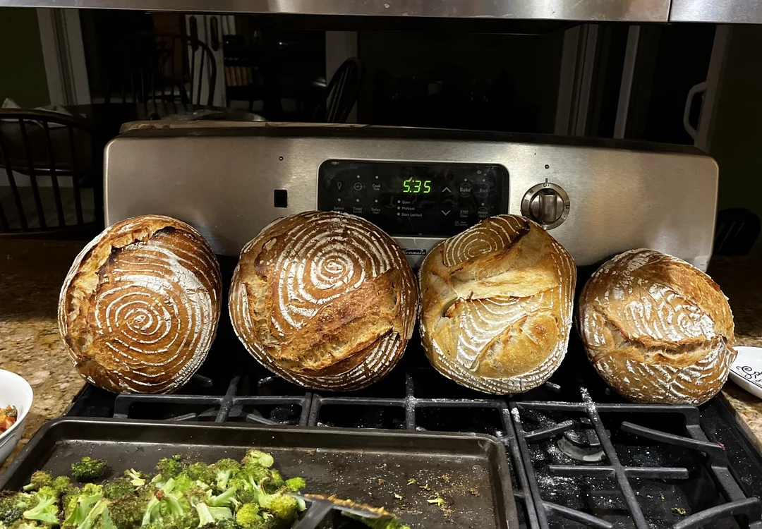 Fourth try on sourdough finally getting the results I want. | Scrolller