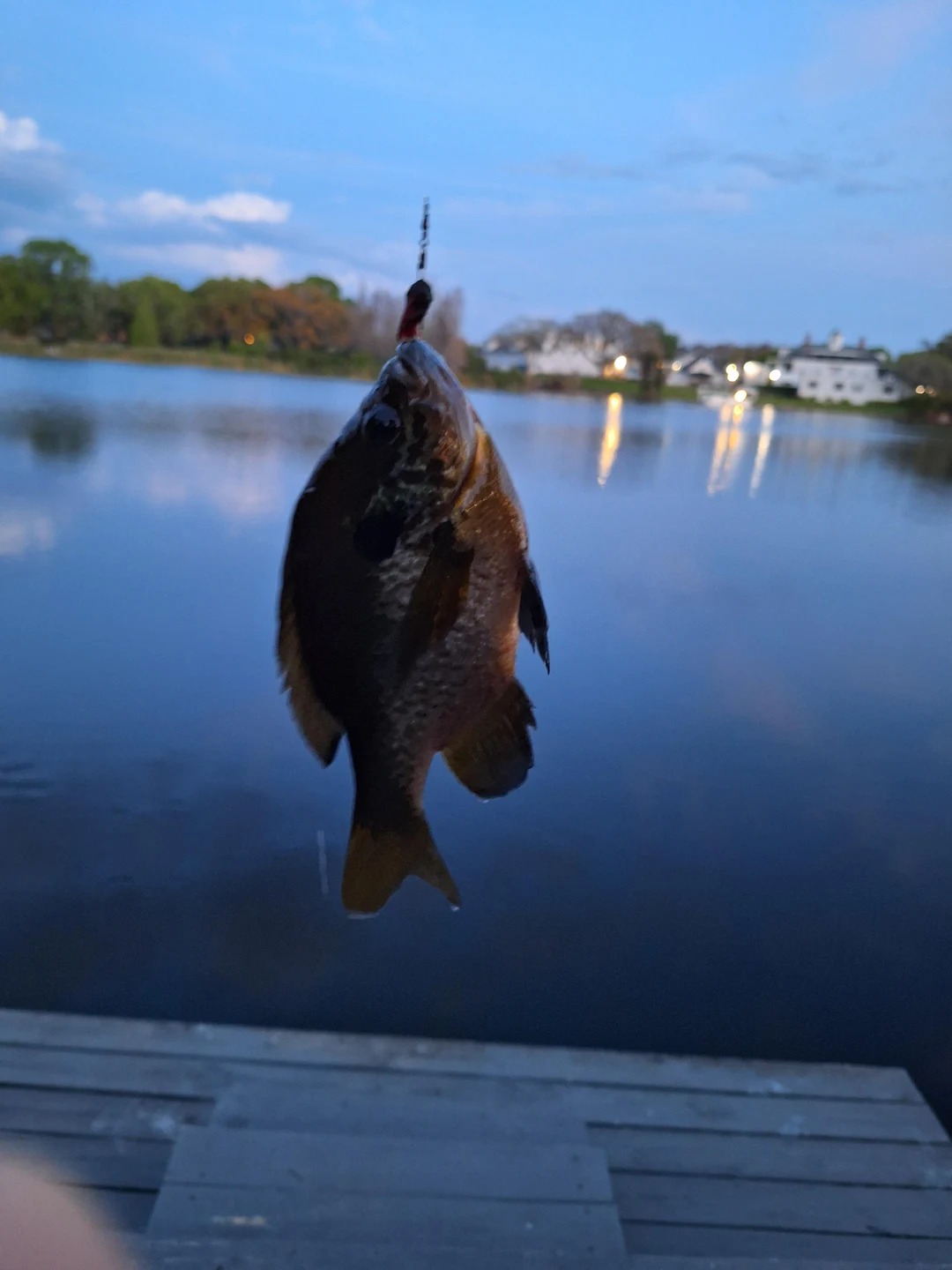 First fish caught in lake. | Scrolller