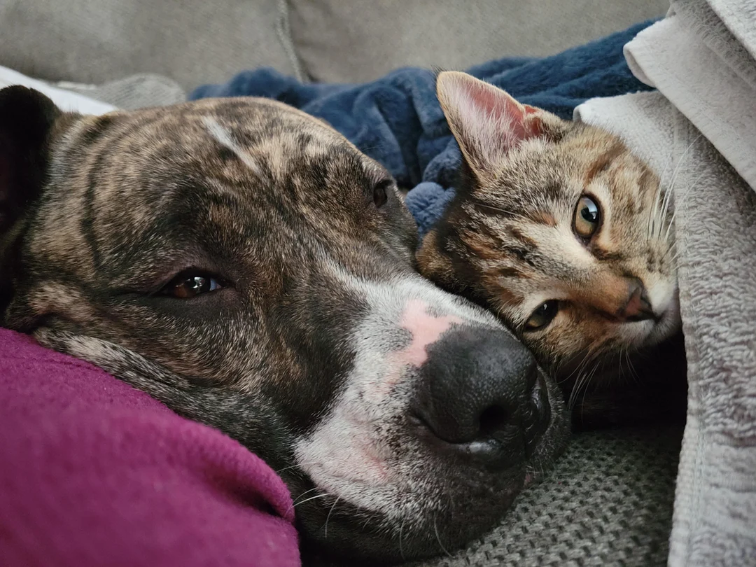 My first post! Two best friends; Ruby and Maxine. | Scrolller