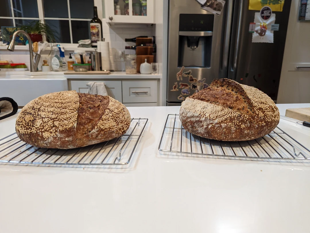 A tale of 2 loaves | Scrolller