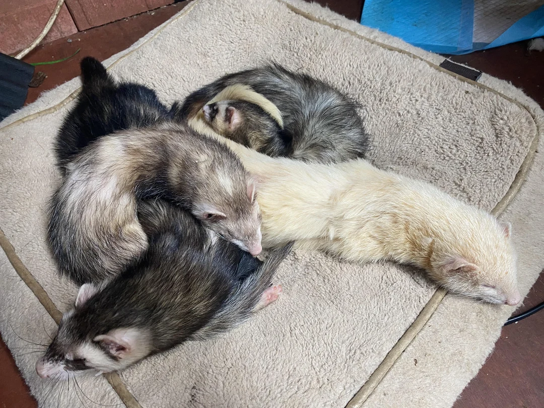 Cooling in Summer | Scrolller