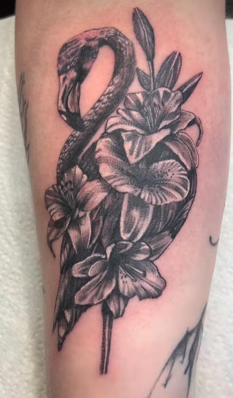 Flamingo by Nate @ Inception, UK | Scrolller