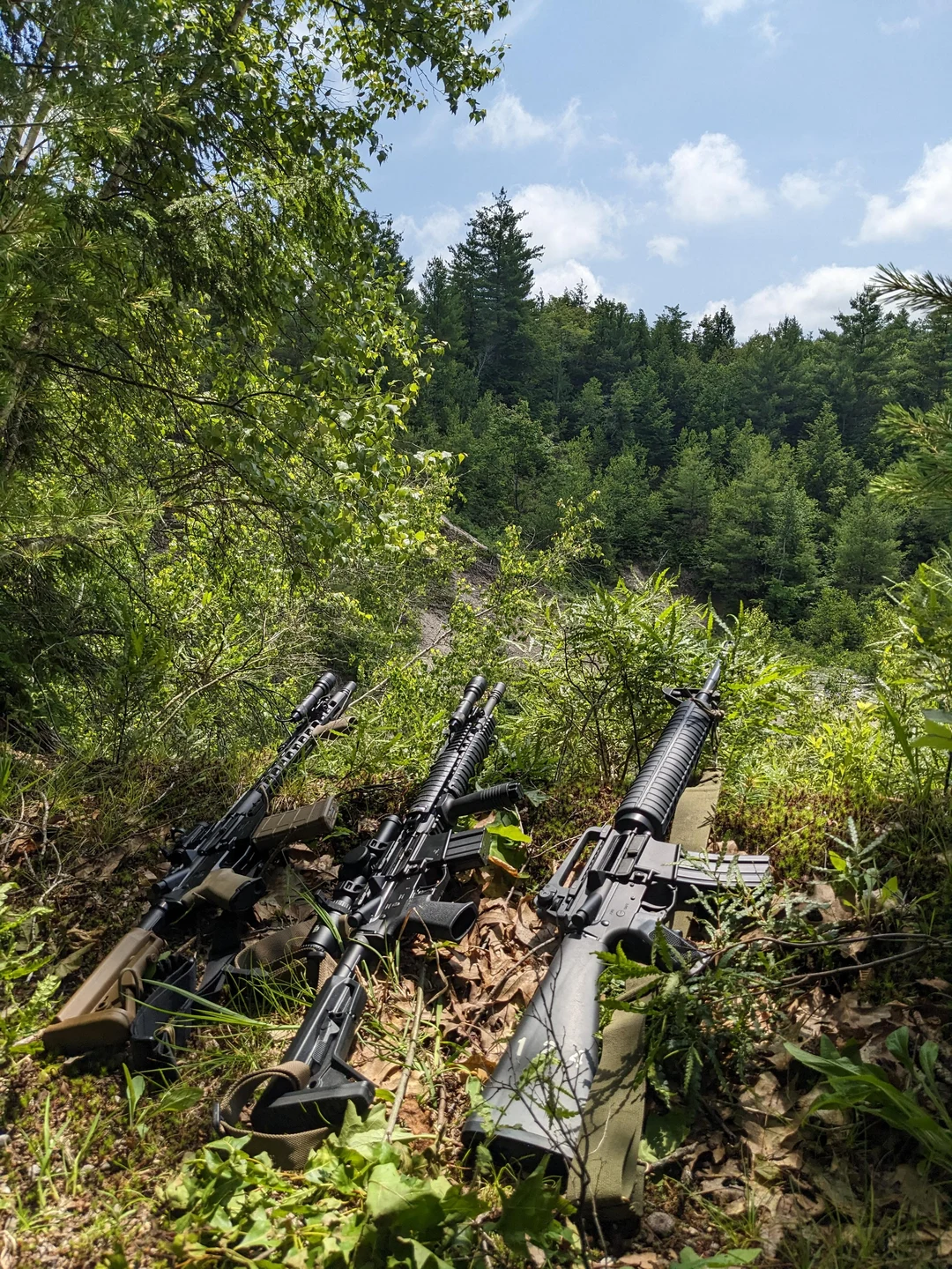 Independence Day | Scrolller