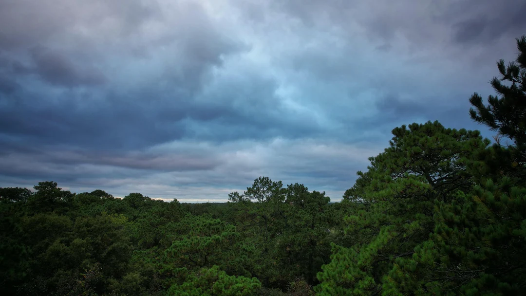 Gloomy But Much Potential [OC] | Scrolller