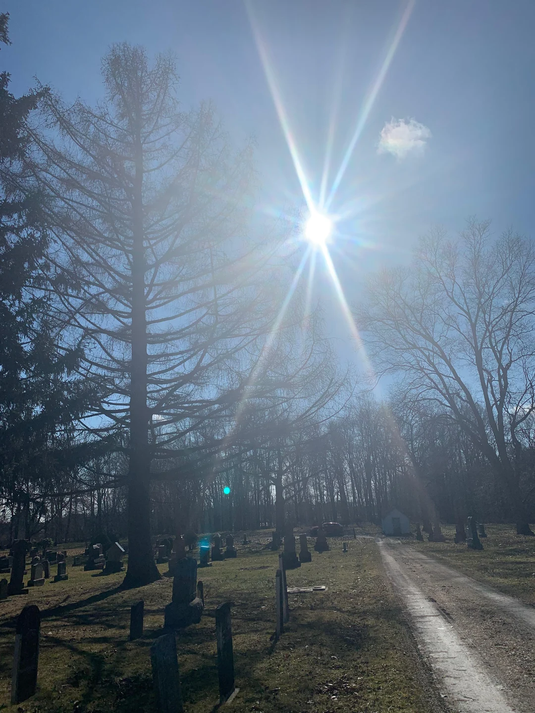 Grave top glow | Scrolller