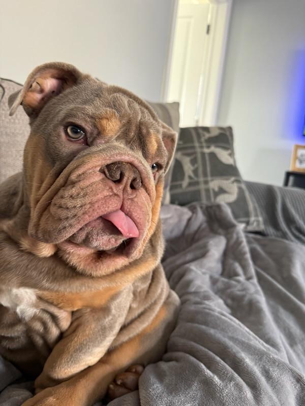 Nose wrinkle cleaning? | Scrolller