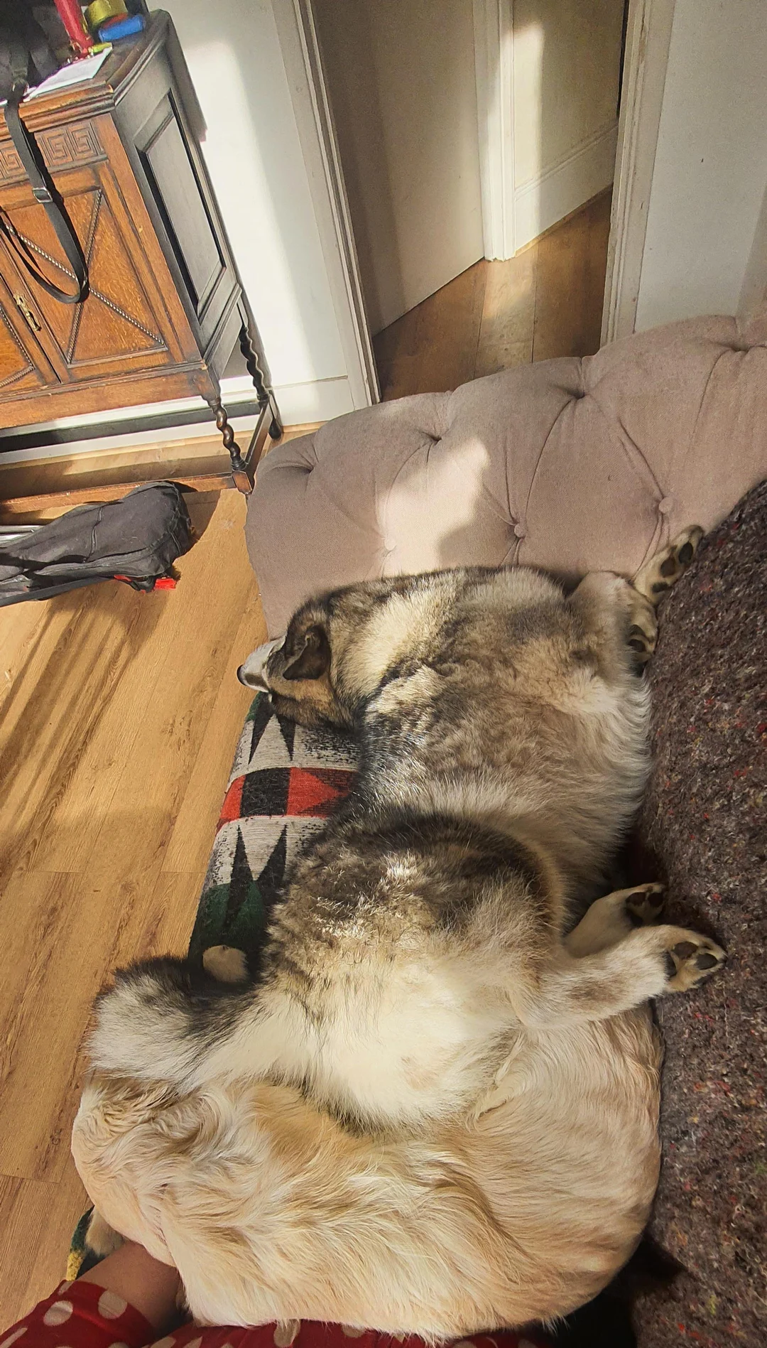 That can't be comfortable... | Scrolller