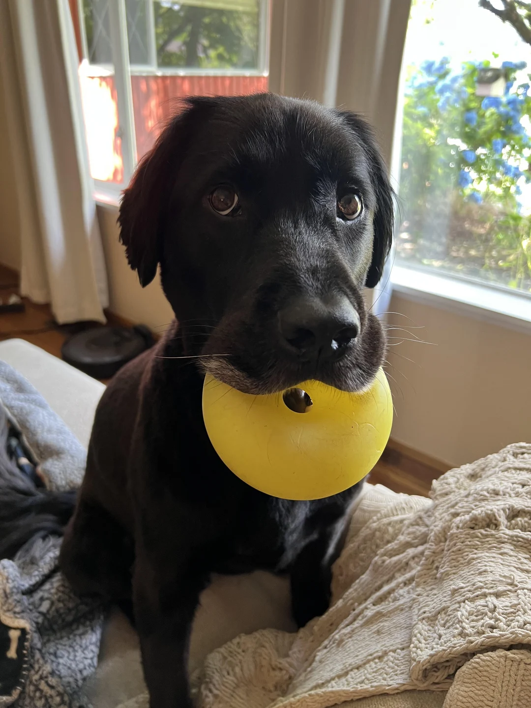 You may look at his donut but do not touch | Scrolller