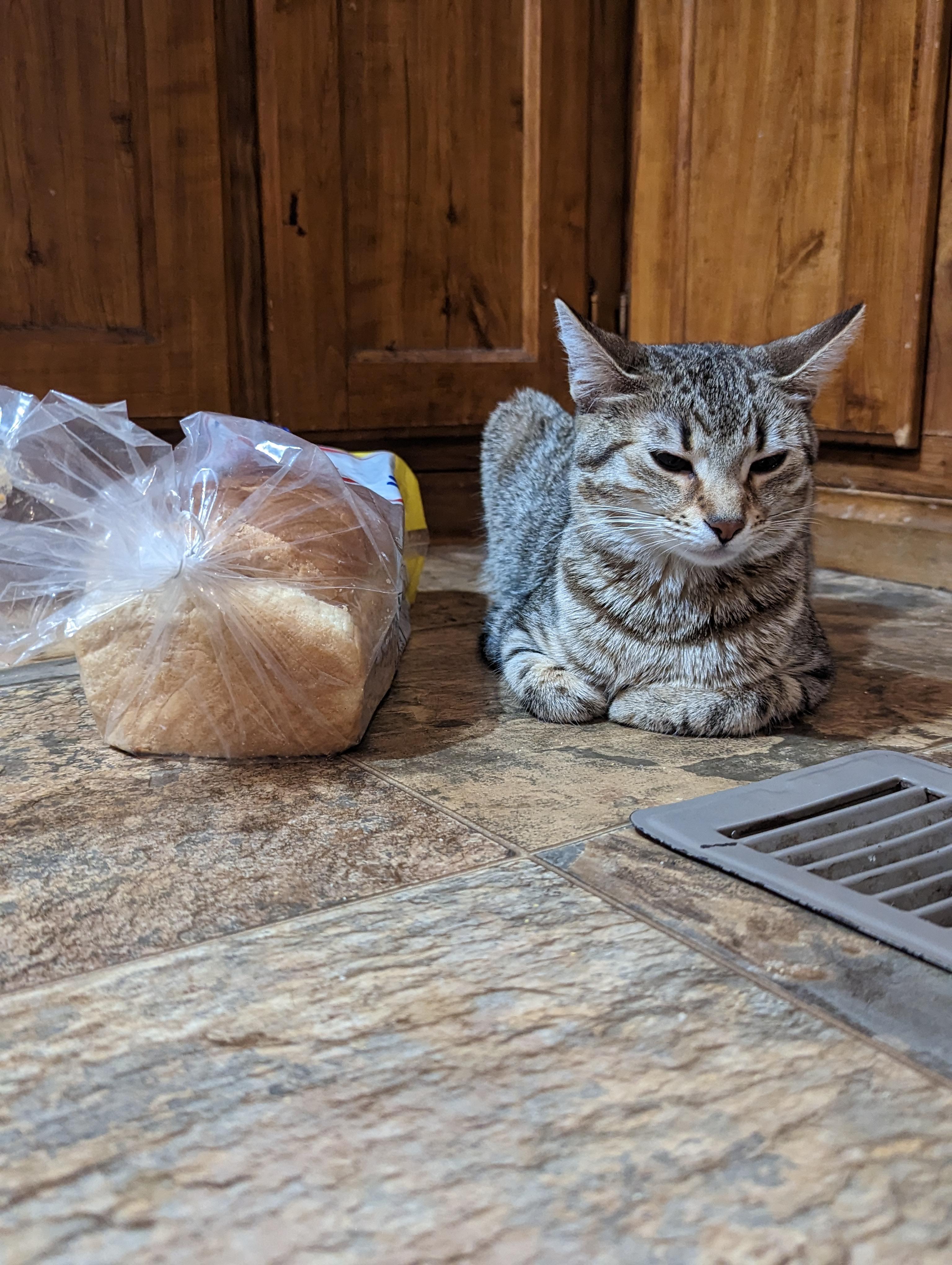 I see no difference | Scrolller