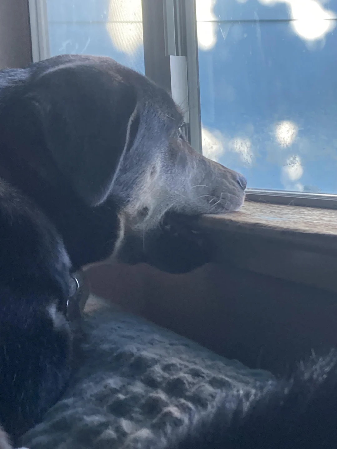 No thoughts, just derp. | Scrolller