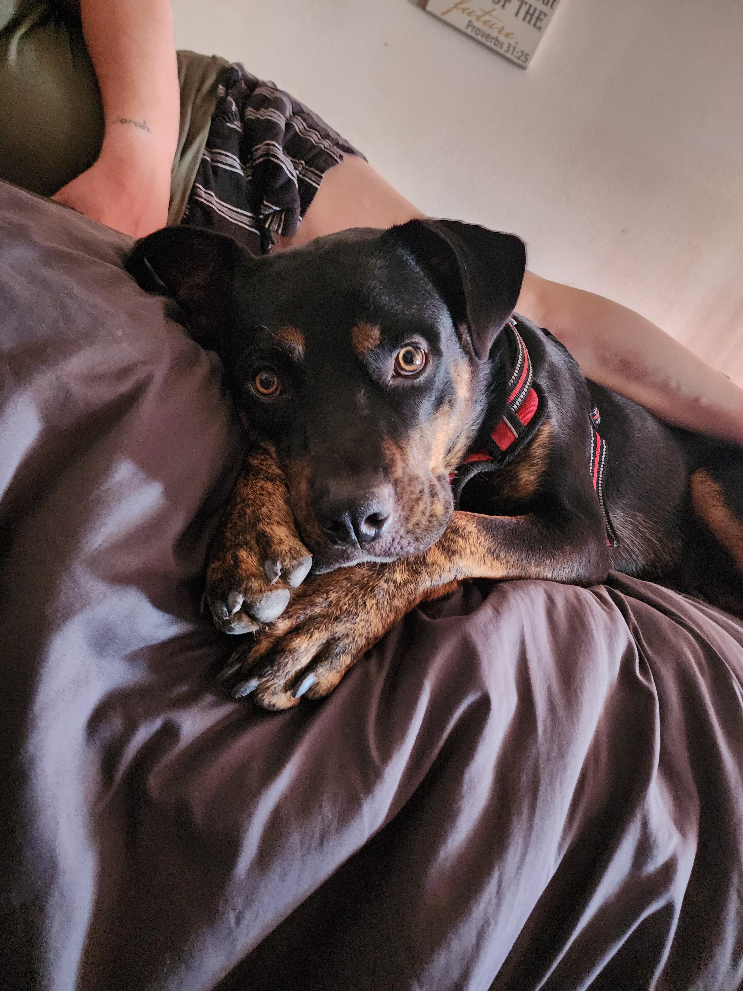 Geo 1st Birthday | Scrolller