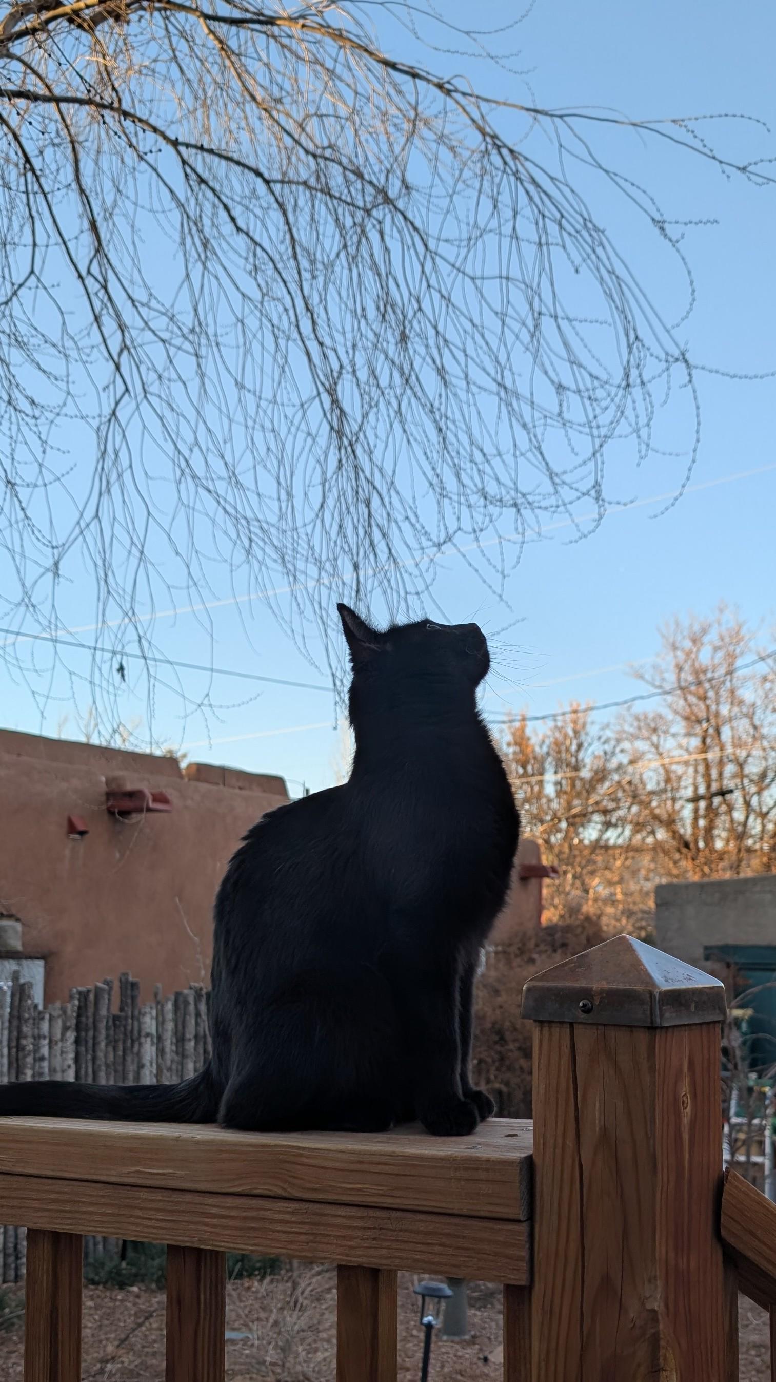 Void staring into the void | Scrolller