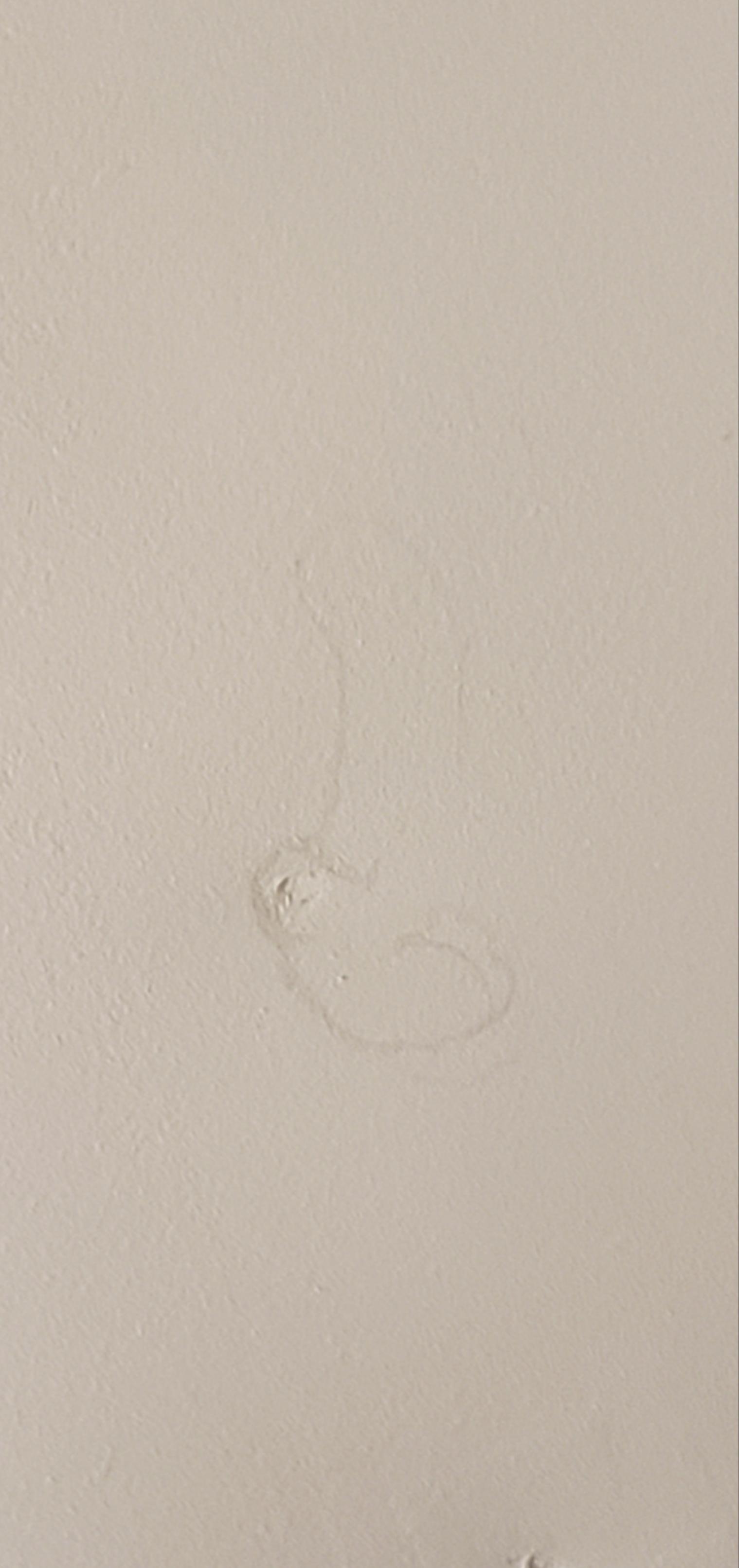 My buddy has a water damage willy on his ceiling. | Scrolller