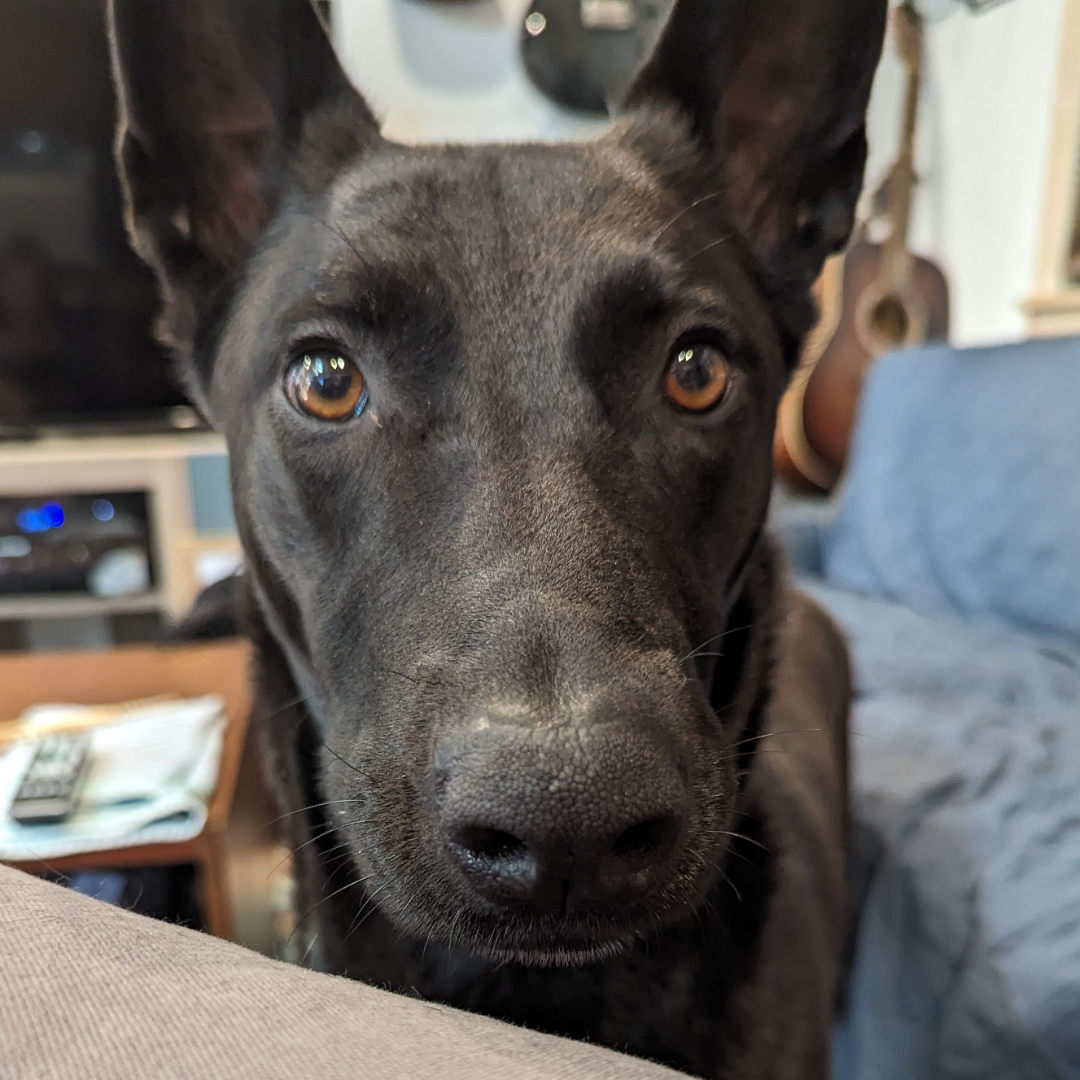 Balance & Stride | Scrolller