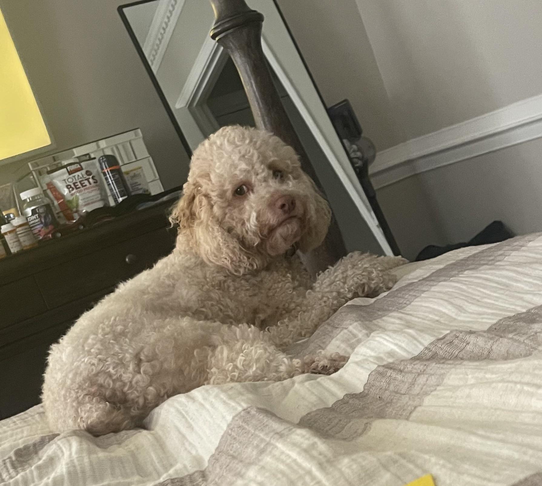 Bombastic side eye. | Scrolller