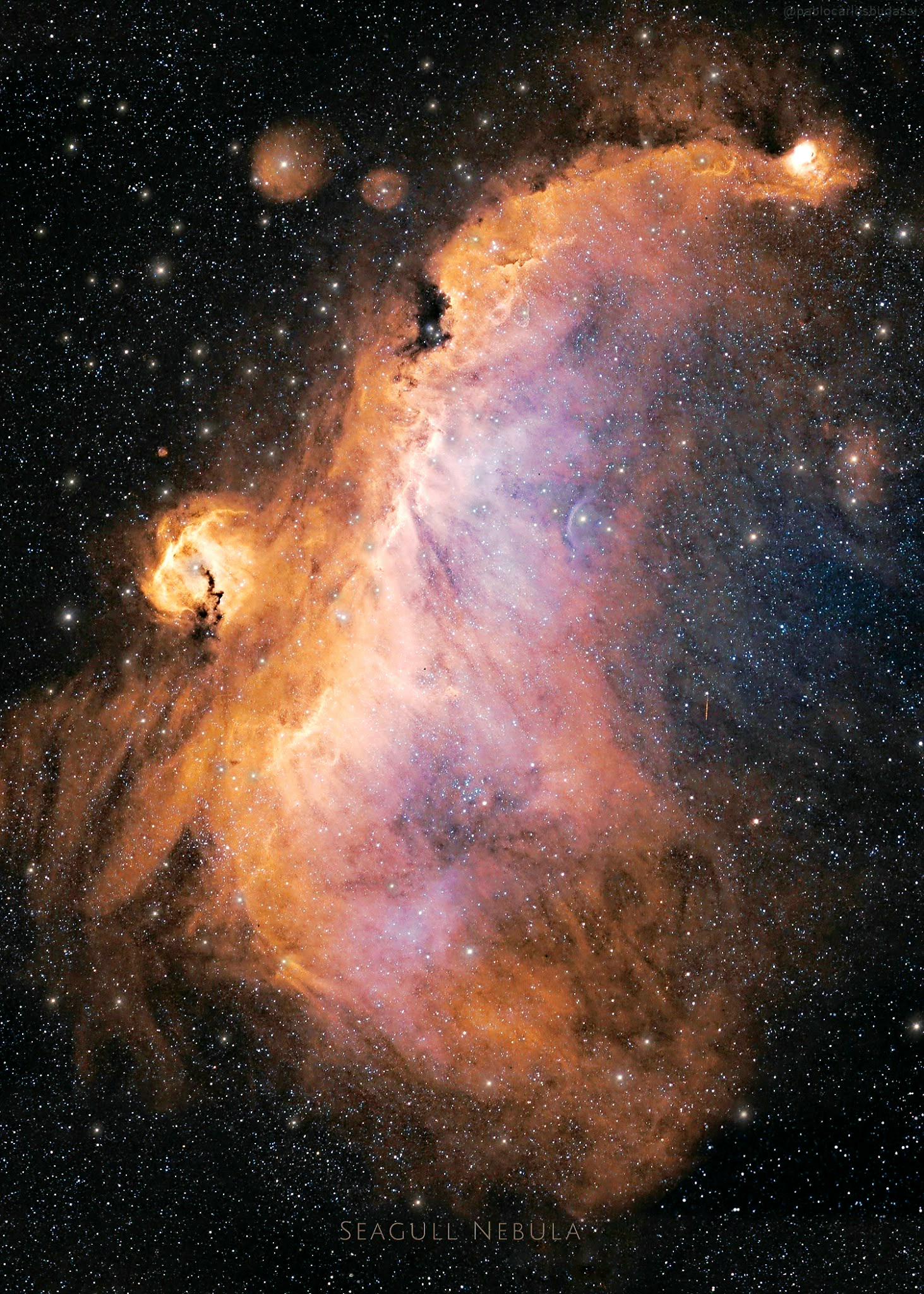 Discover more like Spaceporn: Seagull Nebula (part 1) and Related Content | Scrolller