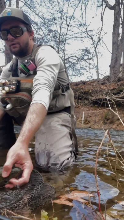 Southern Appalachian giant | Scrolller