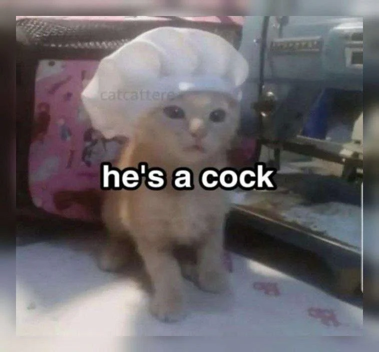 Discover more like Meme: Chef cook. and Related Content | Scrolller