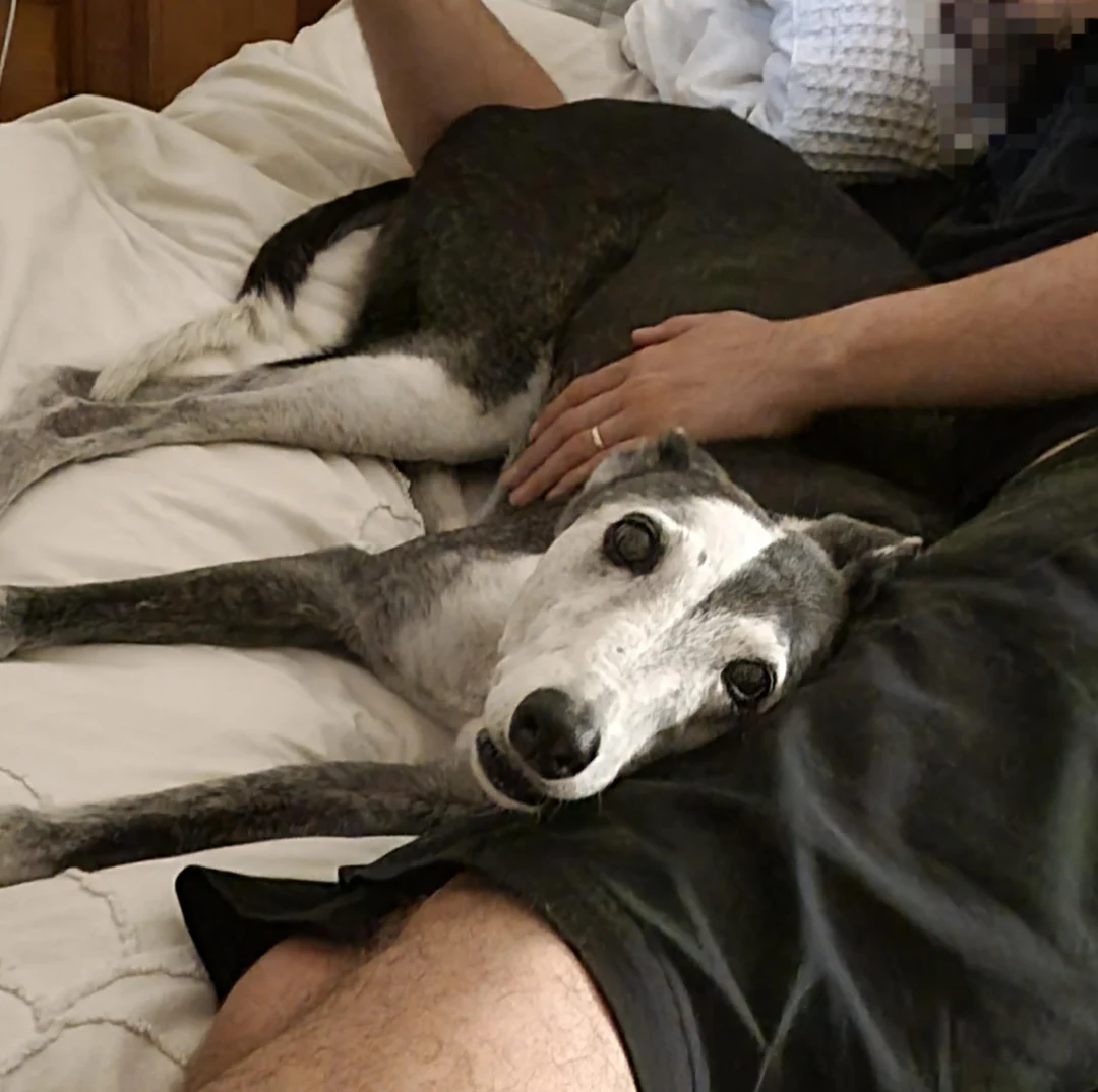 My sweet girl cuddling up with my husband during a storm. | Scrolller