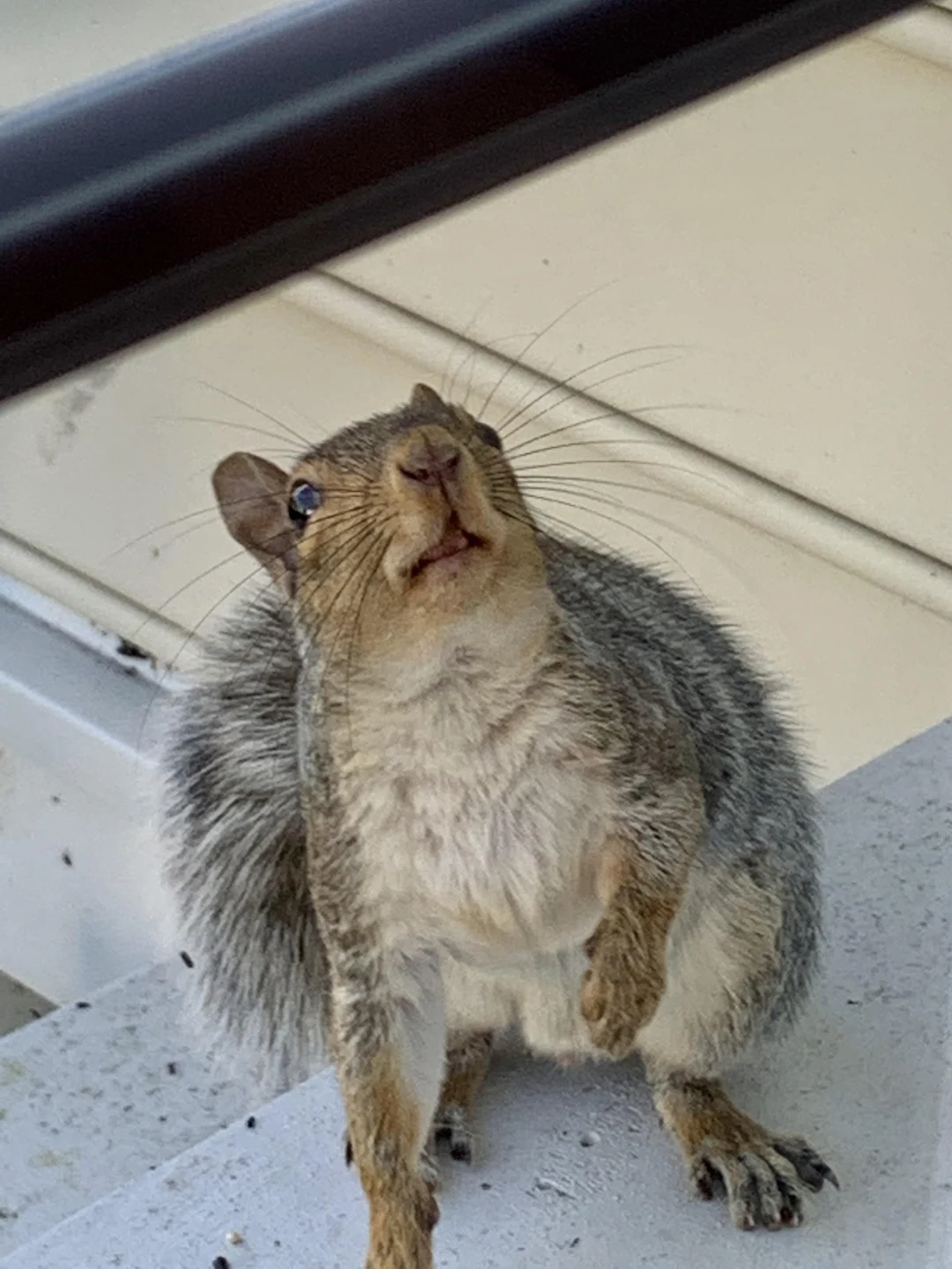 Making the Jump | Scrolller