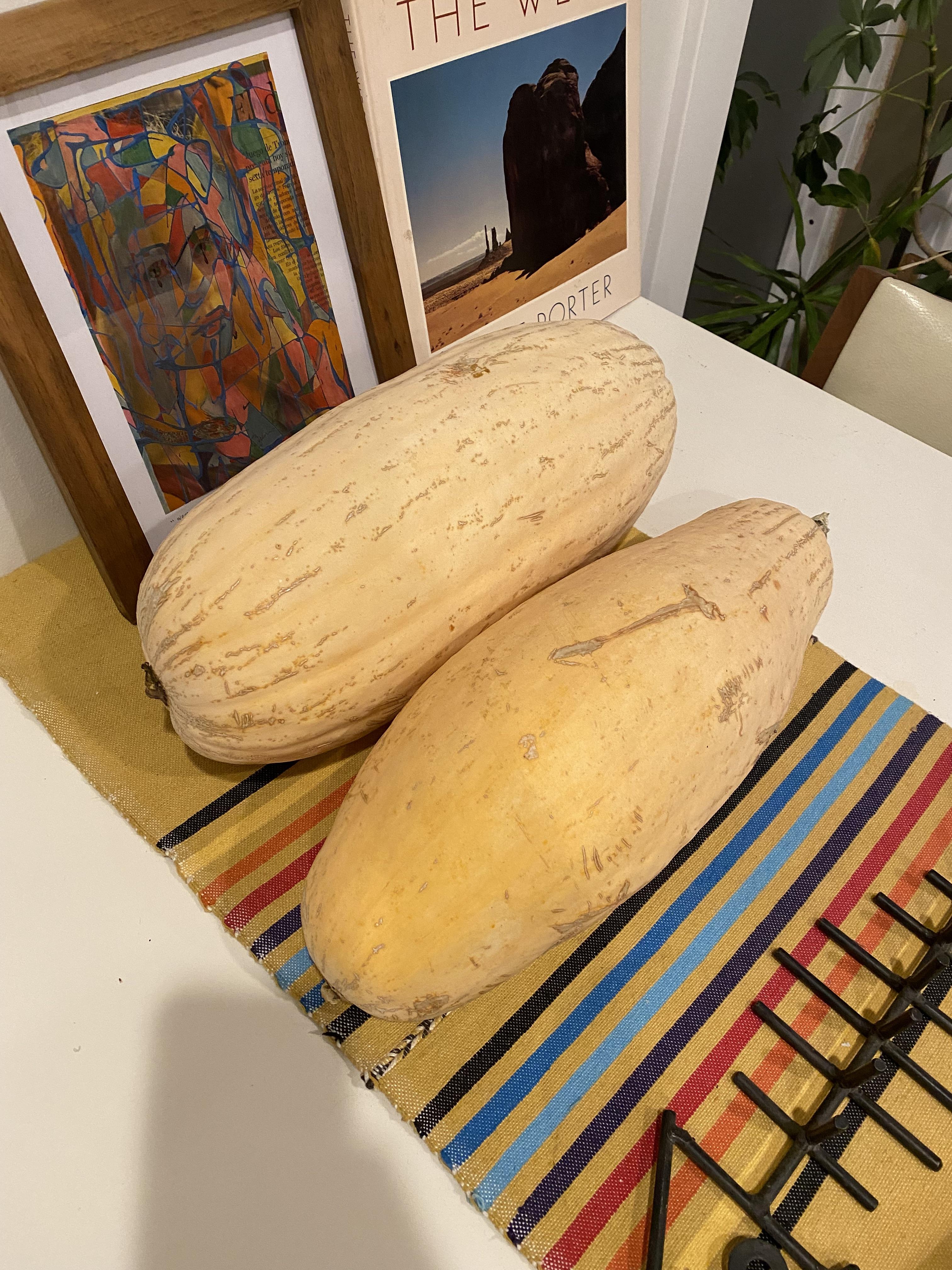 What kind of squash is this? | Scrolller