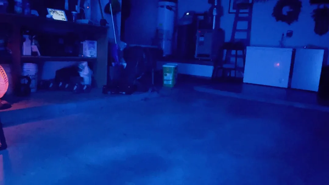 Dancing In The Garage | Scrolller