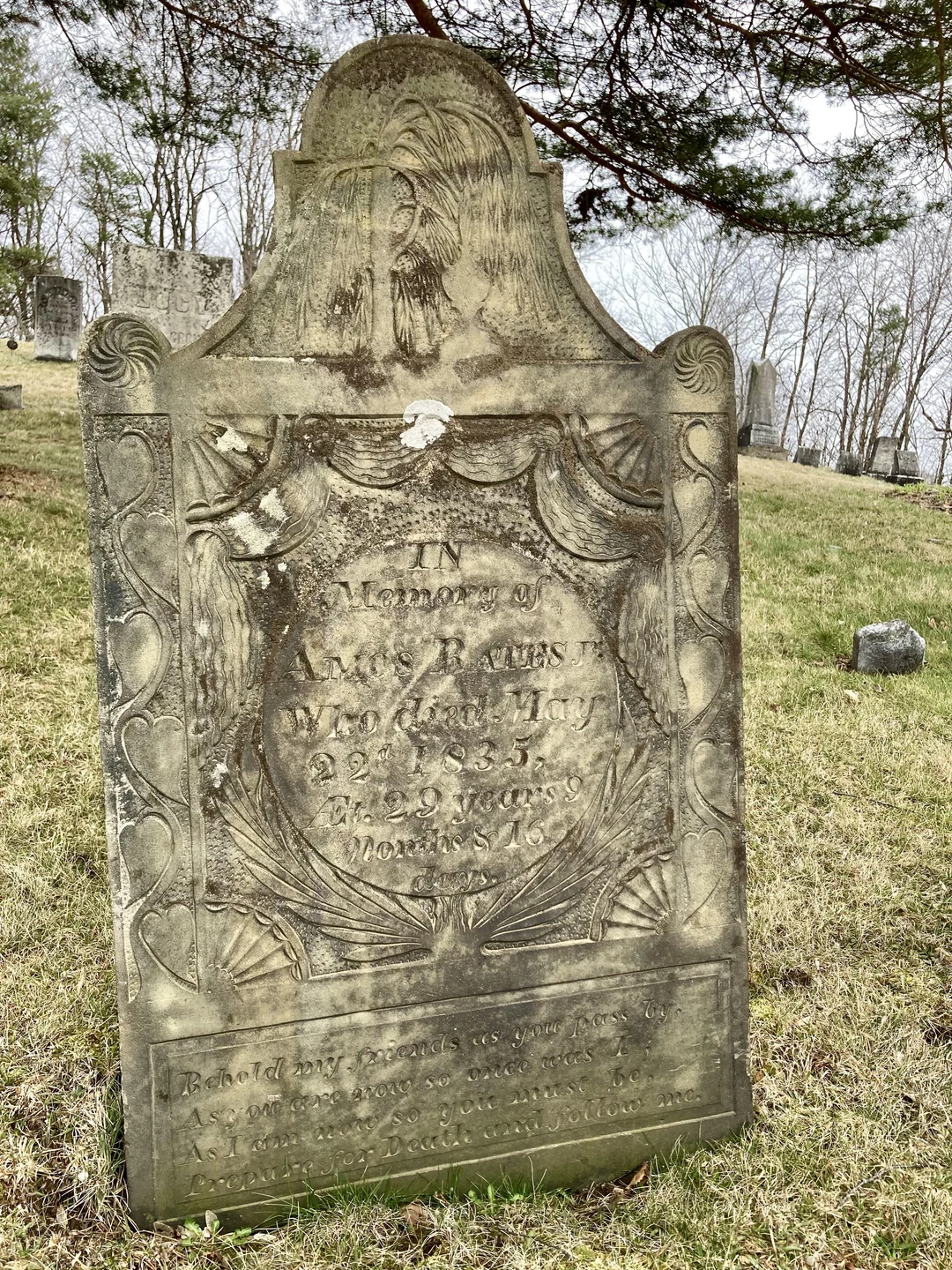 Beautiful Little Details (Central NY) | Scrolller